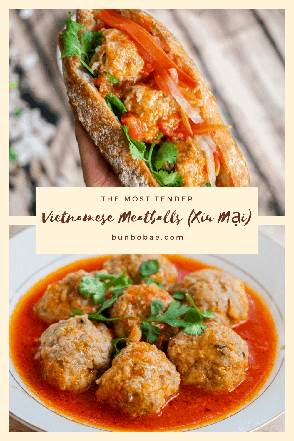 Vietnamese Meatballs (Xíu Mại) – Bun Bo Bae