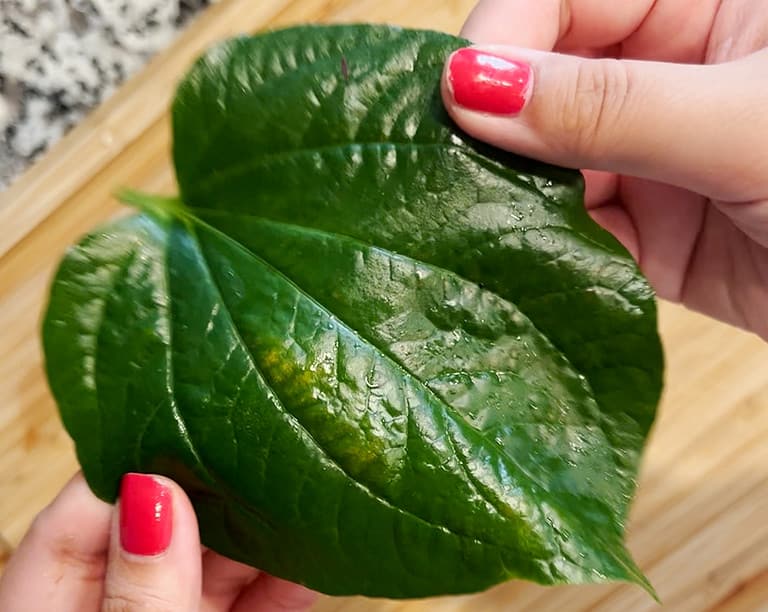 Vietnamese Betel Leaf Wrapped Beef (Bò Cuốn Lá Lốt) – Bun Bo Bae