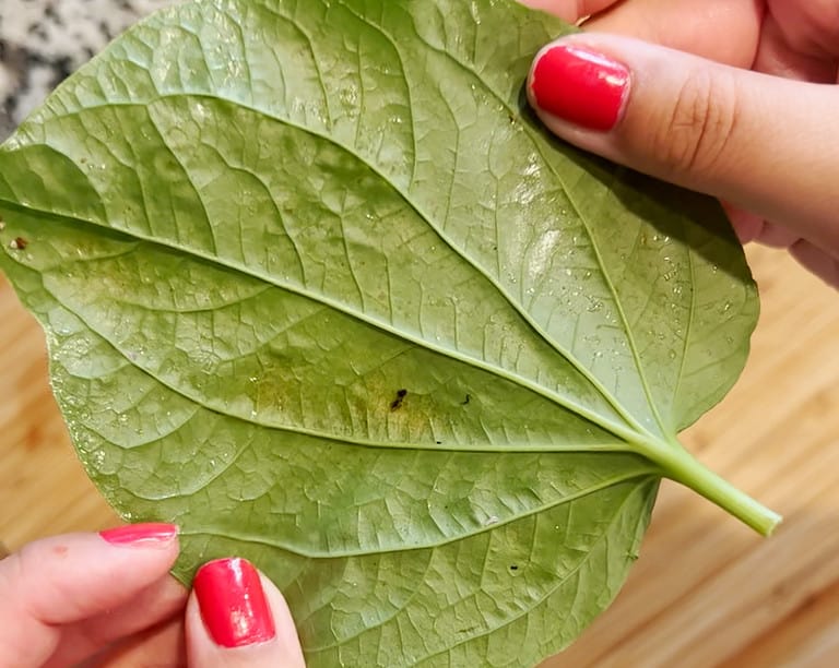 Vietnamese Betel Leaf Wrapped Beef (Bò Cuốn Lá Lốt) – Bun Bo Bae
