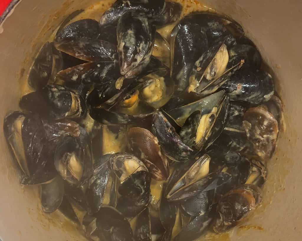 Malaysian Red Curry Mussels (Chem Chép Sốt Cà Ri Đỏ Malaysia) – Bun Bo Bae